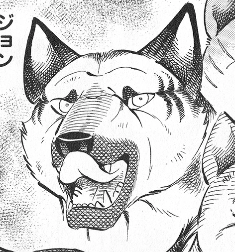 John | Ginga Wiki | Fandom