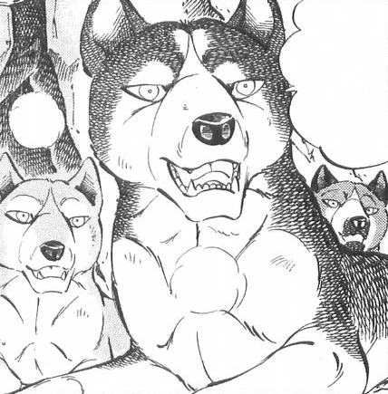 Shinsaku (GDW) (Fotogallerie) | Ginga Wiki | Fandom