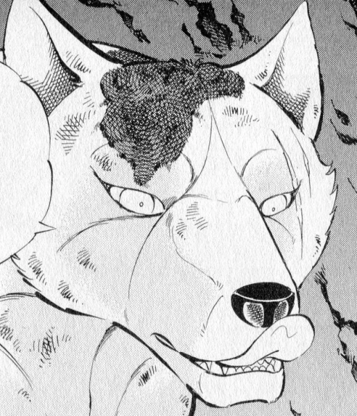 Blanca/Galerie | Ginga Wiki | Fandom