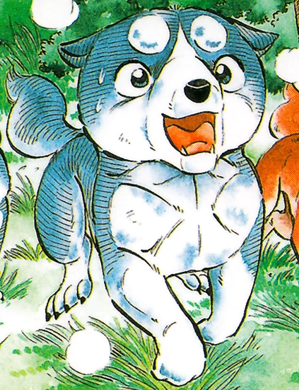 Weed/Galerie | Ginga Wiki | Fandom