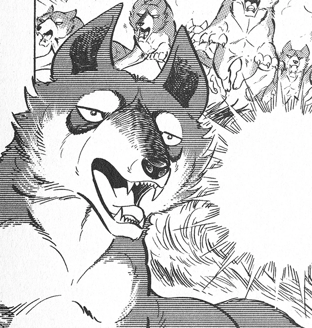 Fūga | Ginga Wiki | Fandom