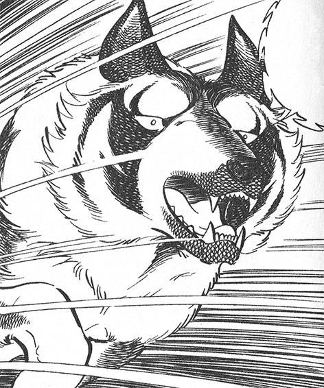 Raiga | Ginga Wiki | Fandom