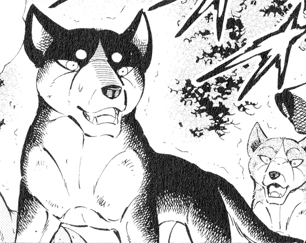 Chip | Ginga Wiki | Fandom