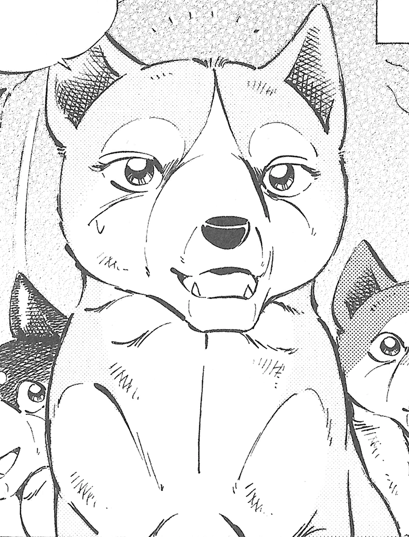 Sayoko | Ginga Wiki | Fandom