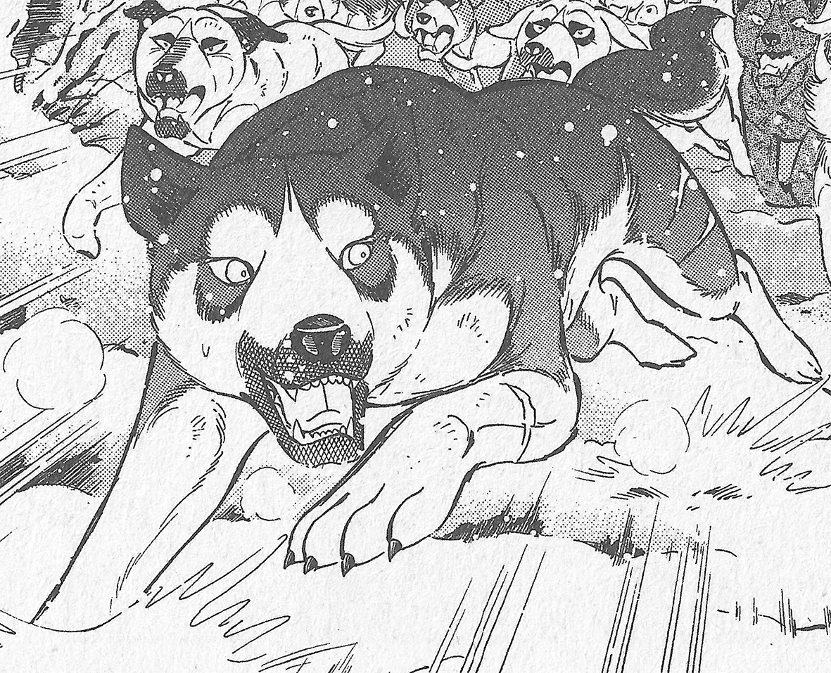 Matsu | Ginga Wiki | Fandom