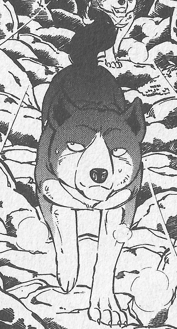 North | Ginga Wiki | Fandom