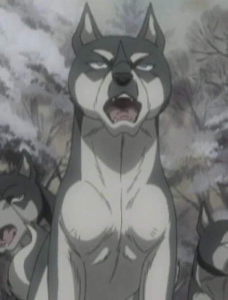 Ryū (GDW) | Ginga Wiki | Fandom