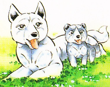 Sakura/Galerie | Ginga Wiki | Fandom