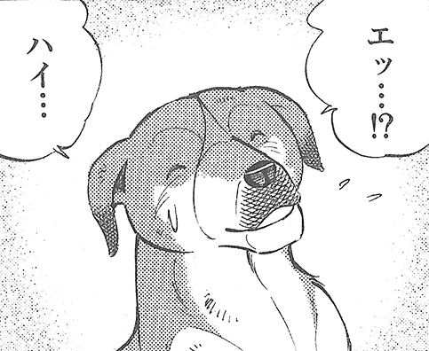 Koroku (Fotogallerie) | Ginga Wiki | Fandom