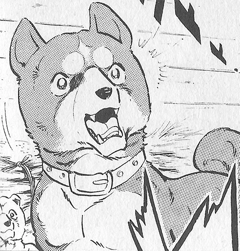 Fuji | Ginga Wiki | Fandom