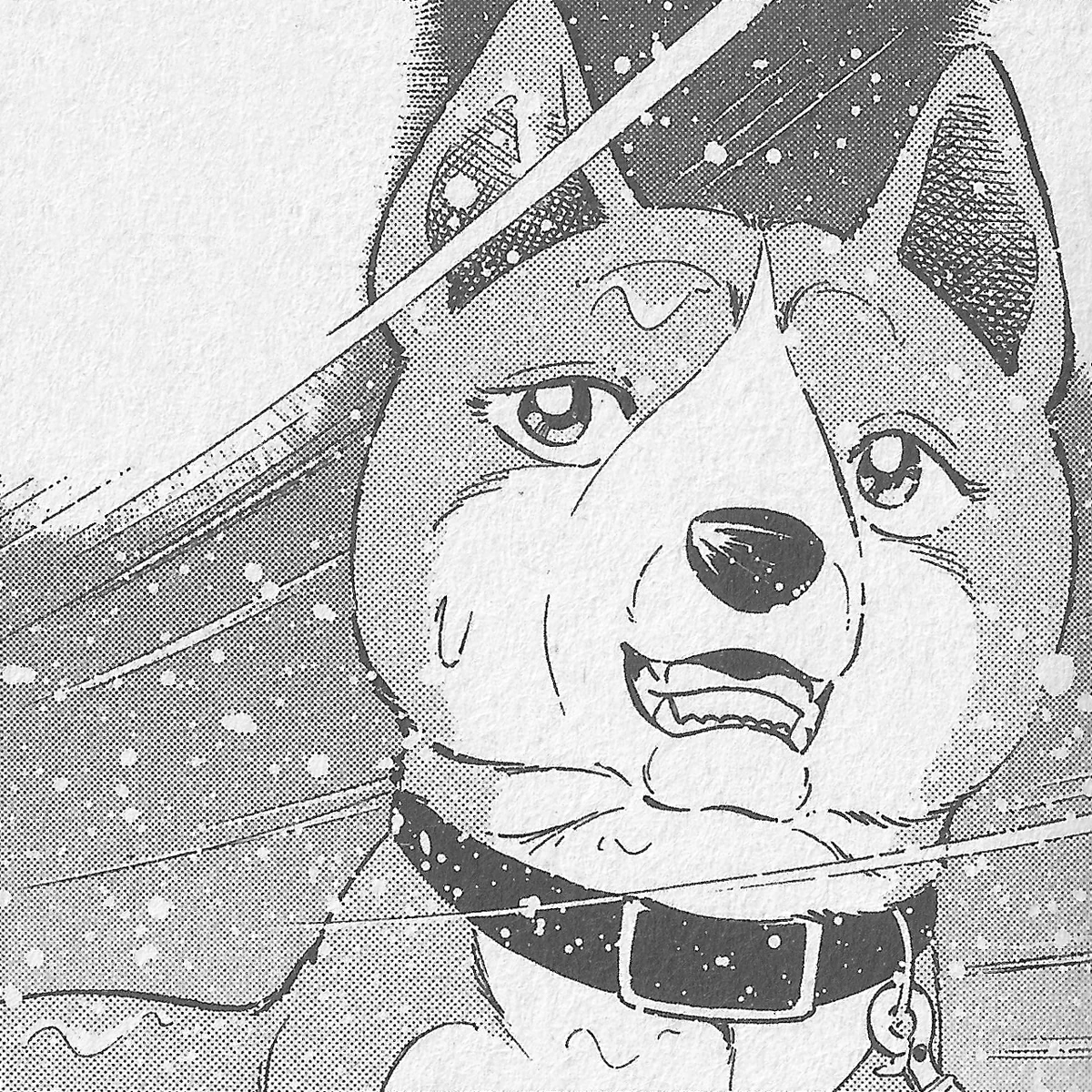 Reika | Ginga Wiki | Fandom