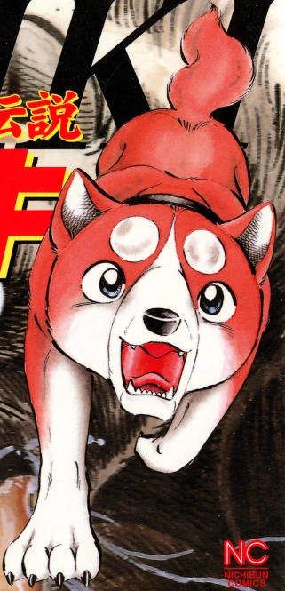 Riki/Galerie | Ginga Wiki | Fandom