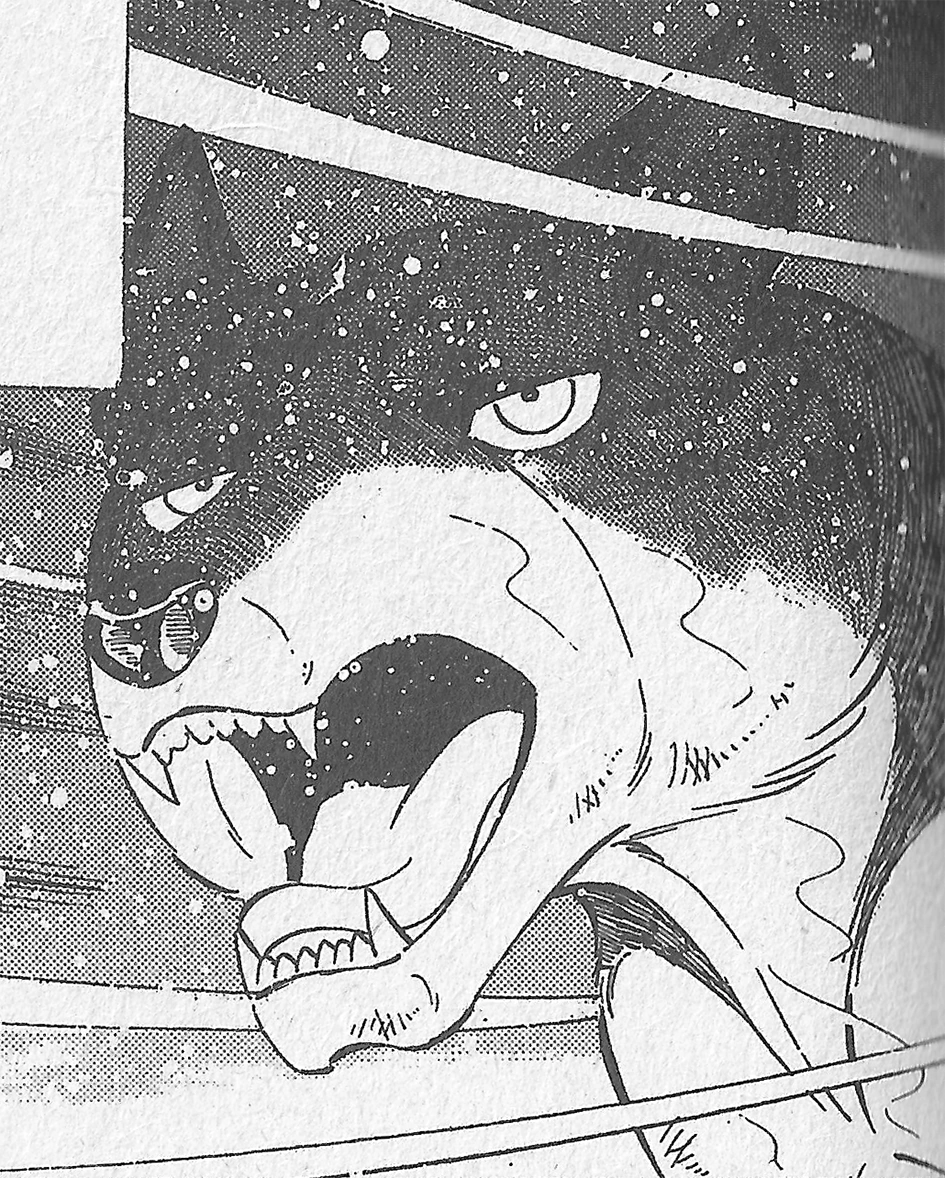 Nobutora | Ginga Wiki | Fandom