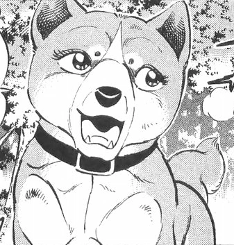 Chako | Ginga Wiki | Fandom