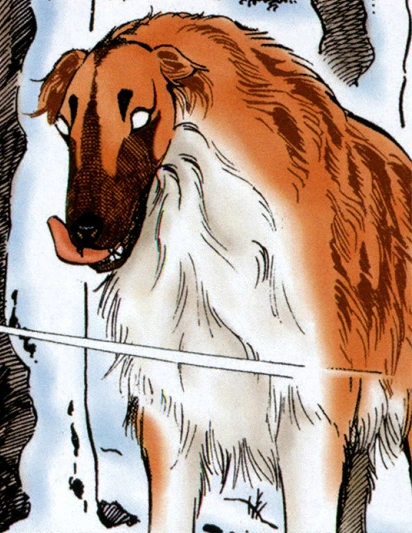 Missile/Galerie | Ginga Wiki | Fandom