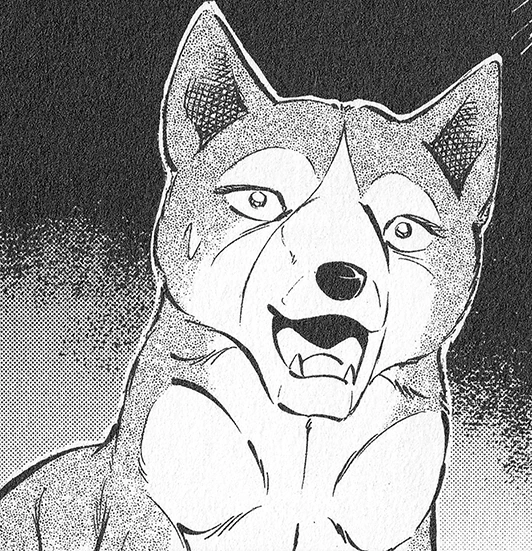 Hiromi | Ginga Wiki | Fandom