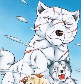 Kyōshirō Shirogane/Galerie | Ginga Wiki | Fandom