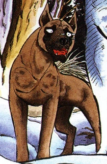 Ken/Galerie | Ginga Wiki | Fandom