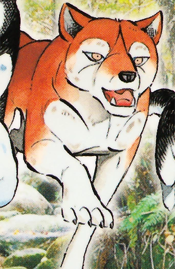 Shūsaku | Ginga Wiki | Fandom