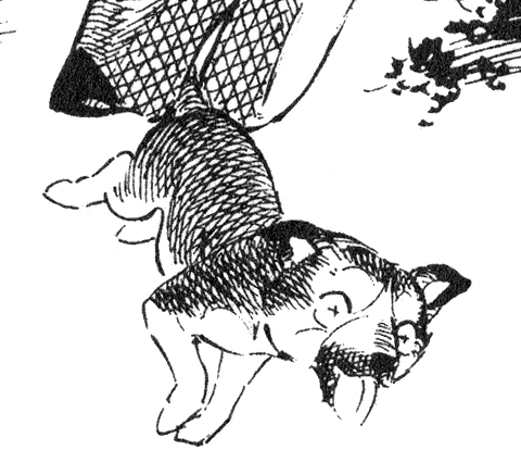 Sunny/Gallery | Ginga Wiki | Fandom