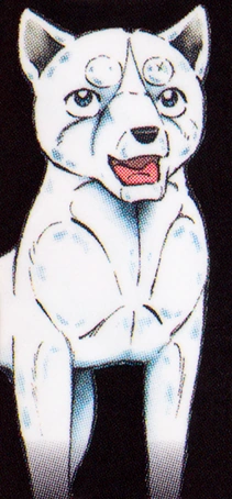 Shion | Ginga Wiki | Fandom