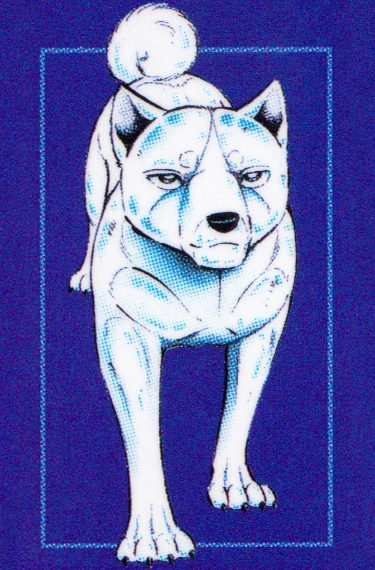 Shirozaru | Ginga Wiki | Fandom