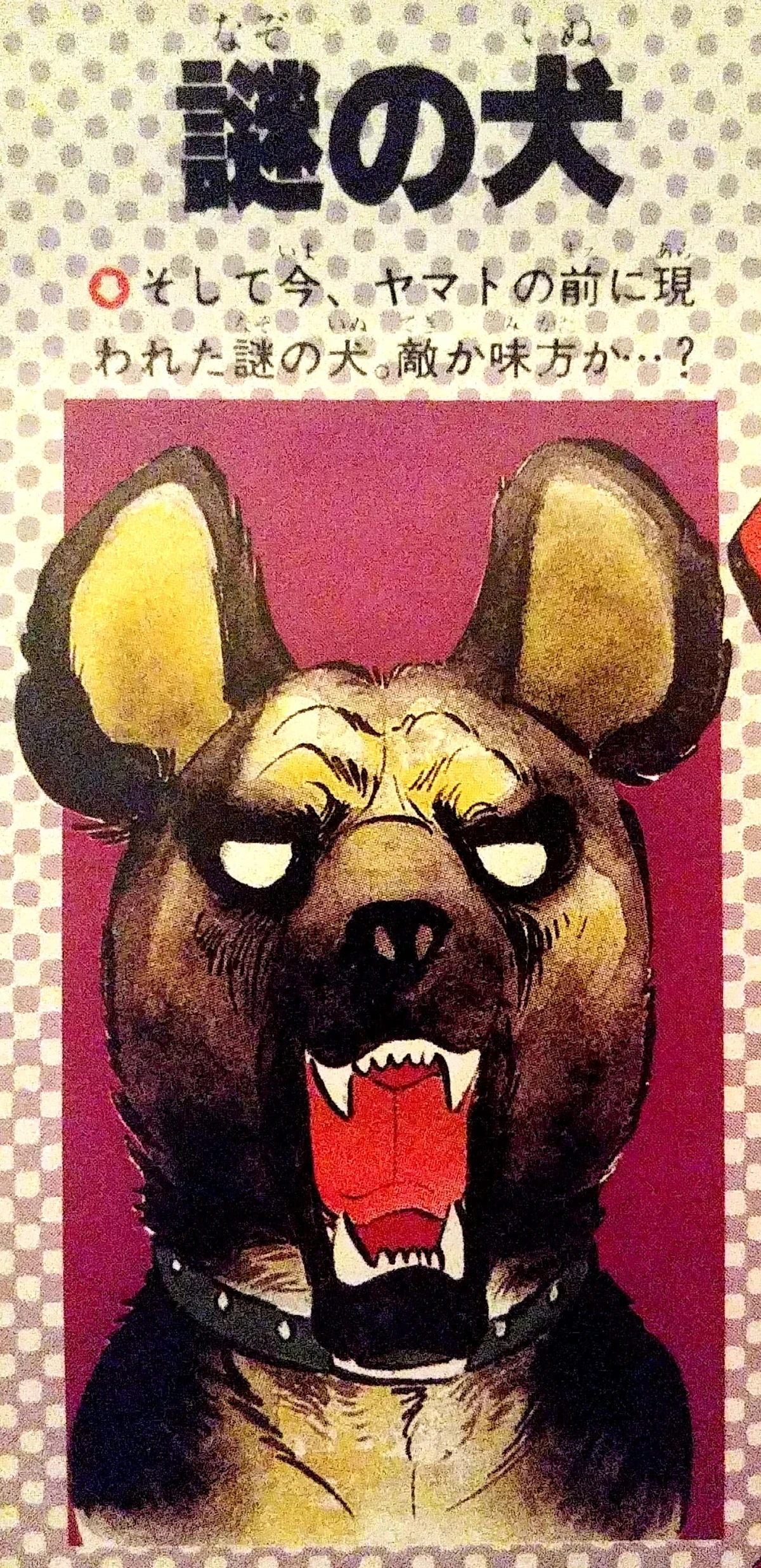 Category:Photo Gallery: African Wild Dog | Ginga Wiki | Fandom