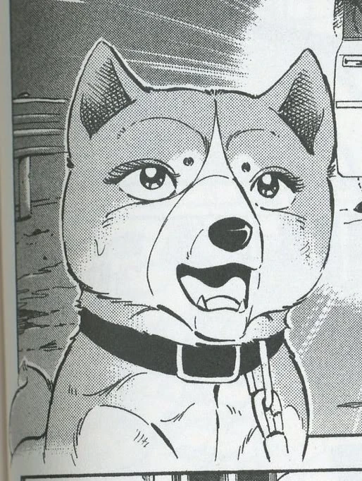 Chako/Gallery | Ginga Wiki | Fandom