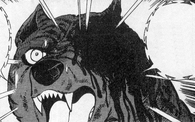 Akatora | Ginga Wiki | Fandom