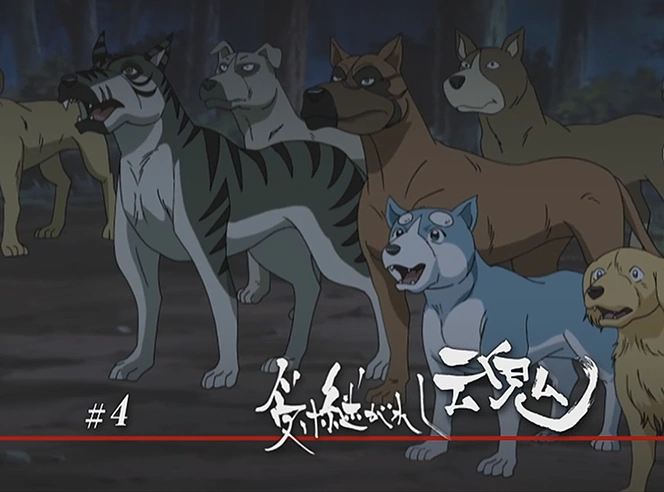 Succeeding Soul | Ginga Wiki | Fandom
