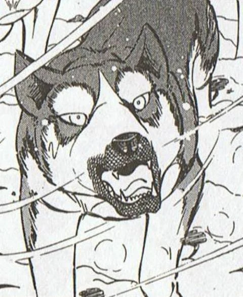 Matsu | Ginga Wiki | Fandom