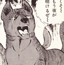 Kurotora | Ginga Wiki | Fandom