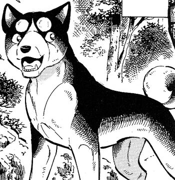 Rigel | Ginga Wiki | Fandom
