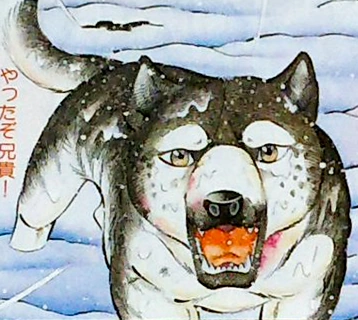 Shigure | Ginga Wiki | Fandom