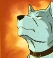 Shiro | Ginga Wiki | Fandom