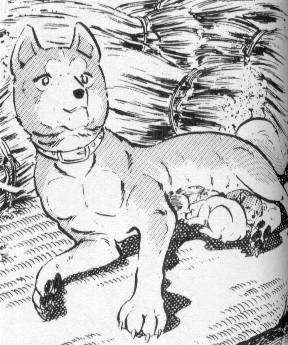 Fuji | Ginga Wiki | Fandom