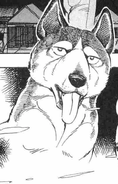 Билли (Gaiden) | Ginga вики | Fandom