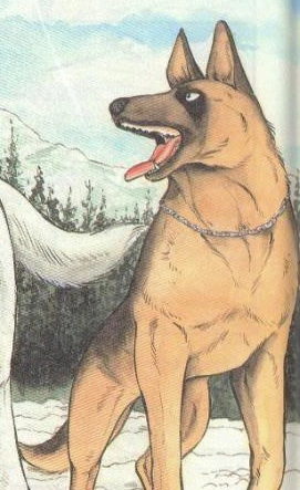 Lobo | Ginga Wiki | Fandom