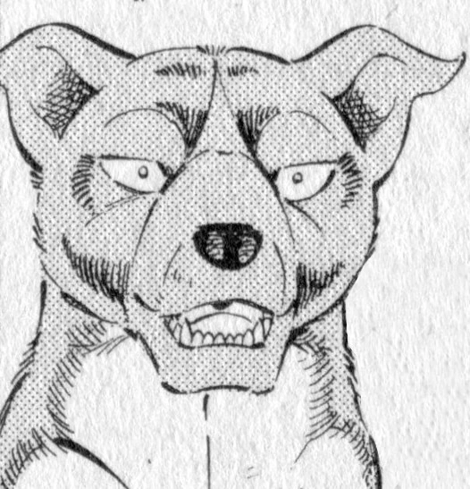 Fuyuki/Gallery | Ginga Wiki | Fandom