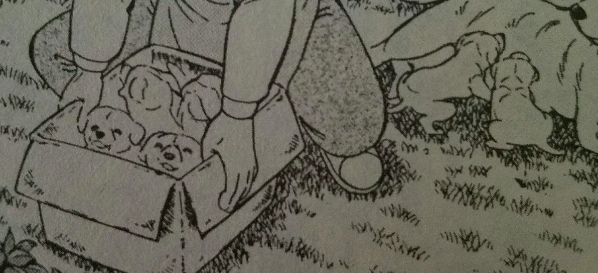 Mel's Siblings | Ginga Wiki | Fandom