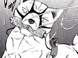 Такамару | Ginga вики | Fandom