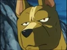 Great/Gallery | Ginga Wiki | Fandom