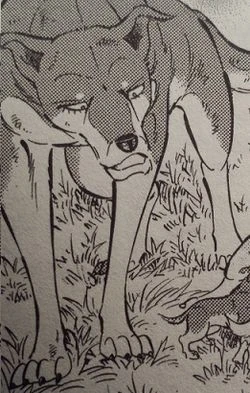 Zack's Father | Ginga Wiki | Fandom