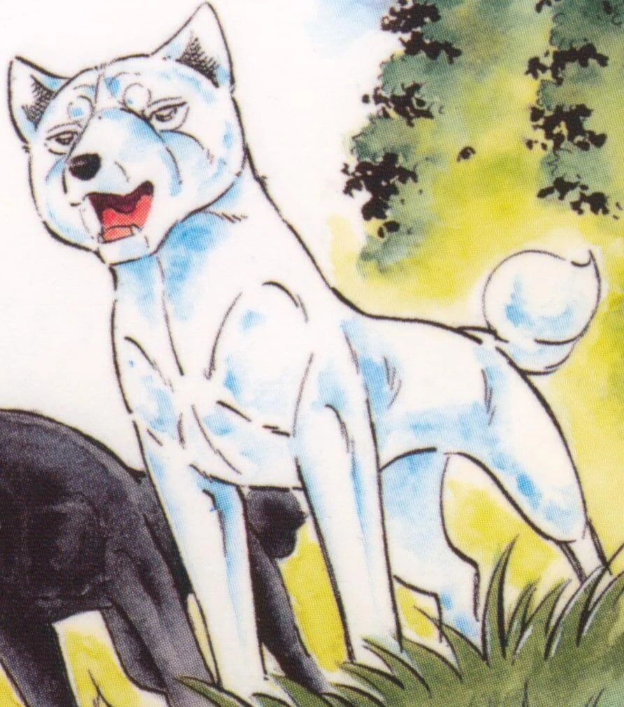 Shirozaru/Gallery | Ginga Wiki | Fandom