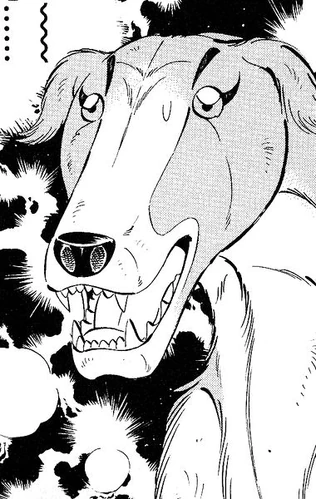 Rocket | Ginga Wiki | Fandom