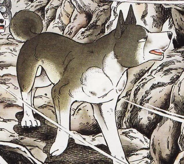 North | Ginga Wiki | Fandom