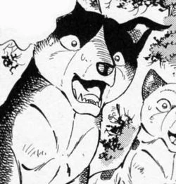 Shintarō/Gallery | Ginga Wiki | Fandom