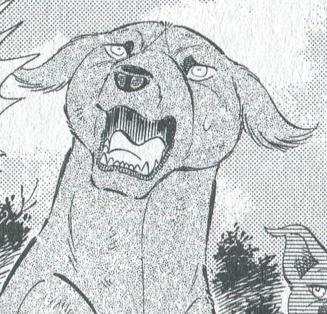 Shirō (Hanashiro Shinkichi's Pack) | Ginga Wiki | Fandom