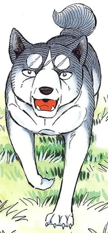 Ginga Nagareboshi Gin Images Ginga Nagareboshi Gin MANGA | Flickr