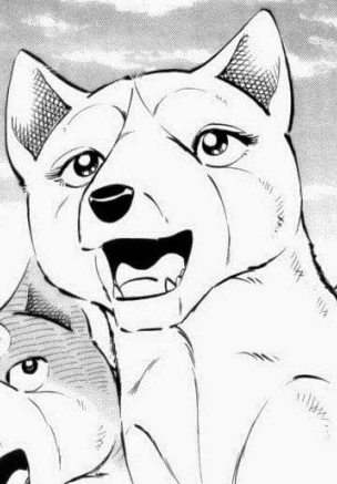 Sakura | Ginga Wiki | Fandom